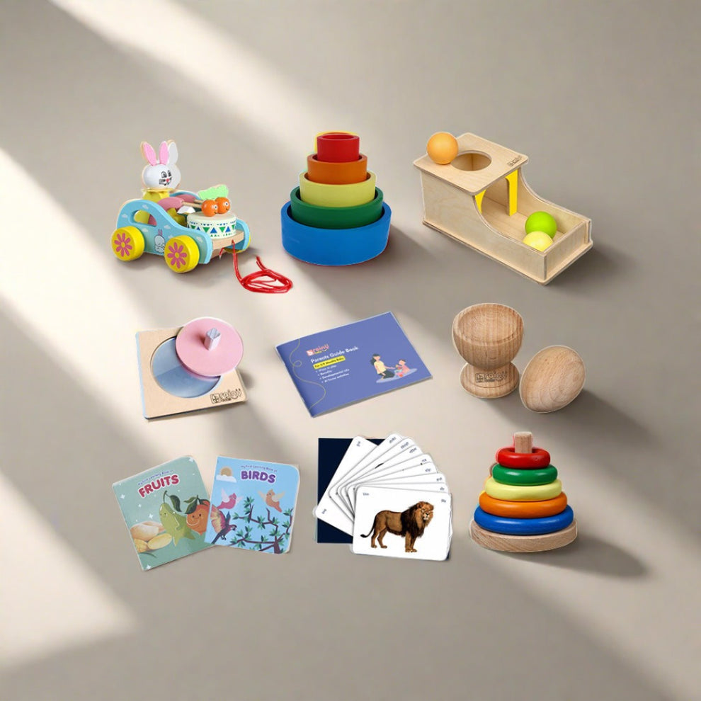 6 Plus Months Baby Toy Box – Brainytots